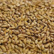 Simpsons Aromatic Malt | Blackboard Brewing Co